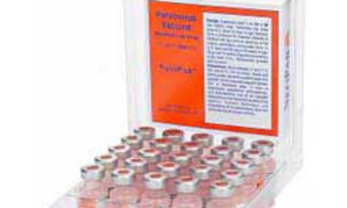 The Benefits of Choosing DPV and NEOPAR for 4-Week Puppy Vaccinations